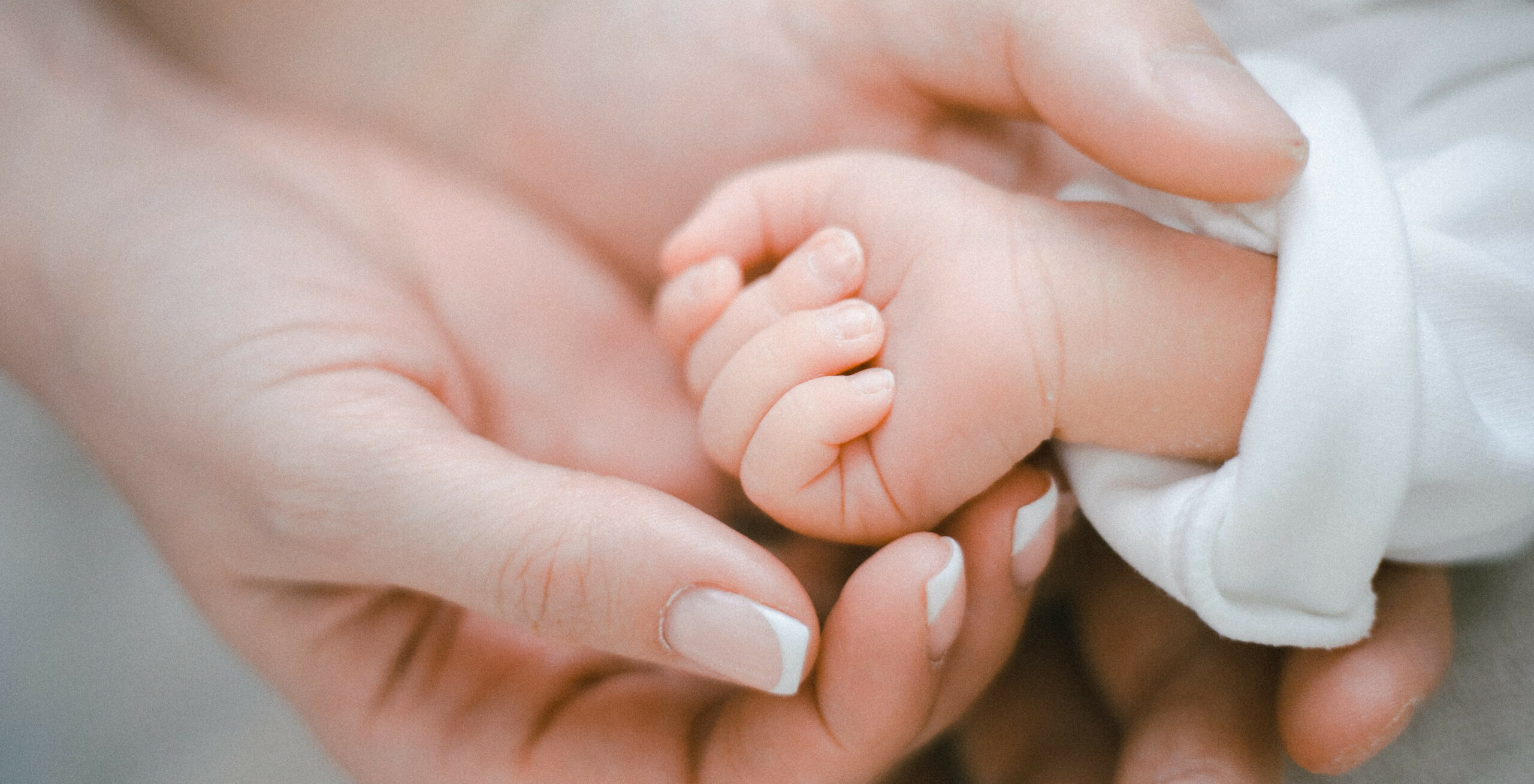 Assistenza sociale Archivi - Comune di Foligno
